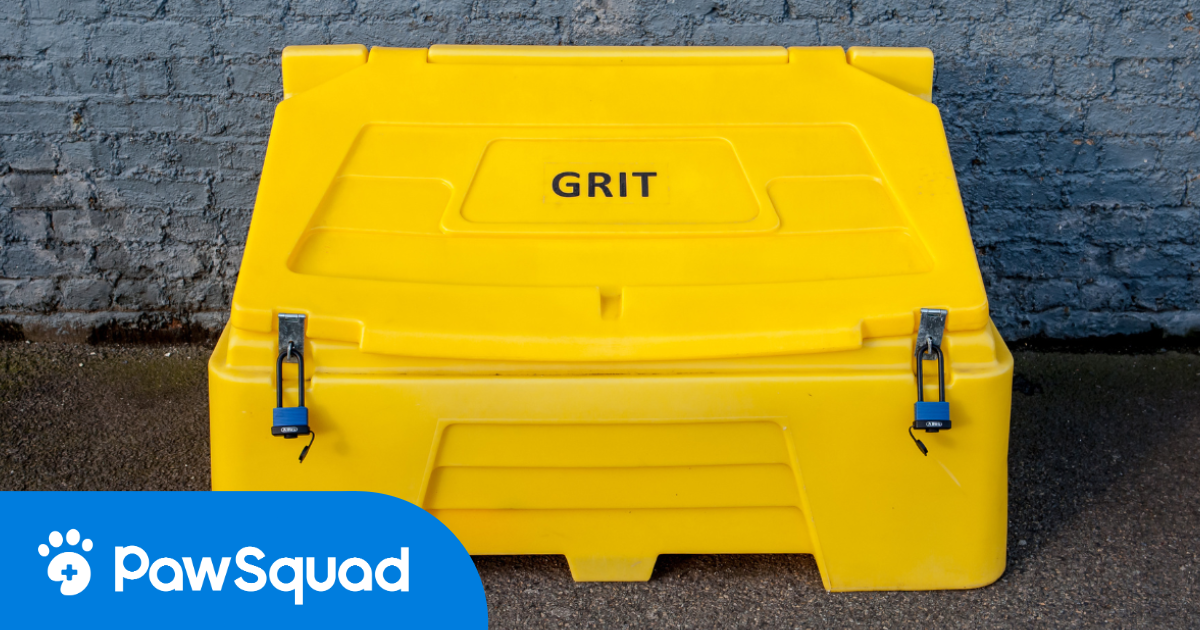 Rock Salt (Grit!) Toxicity in Pets: Winter Safety Tips for Dogs and ...